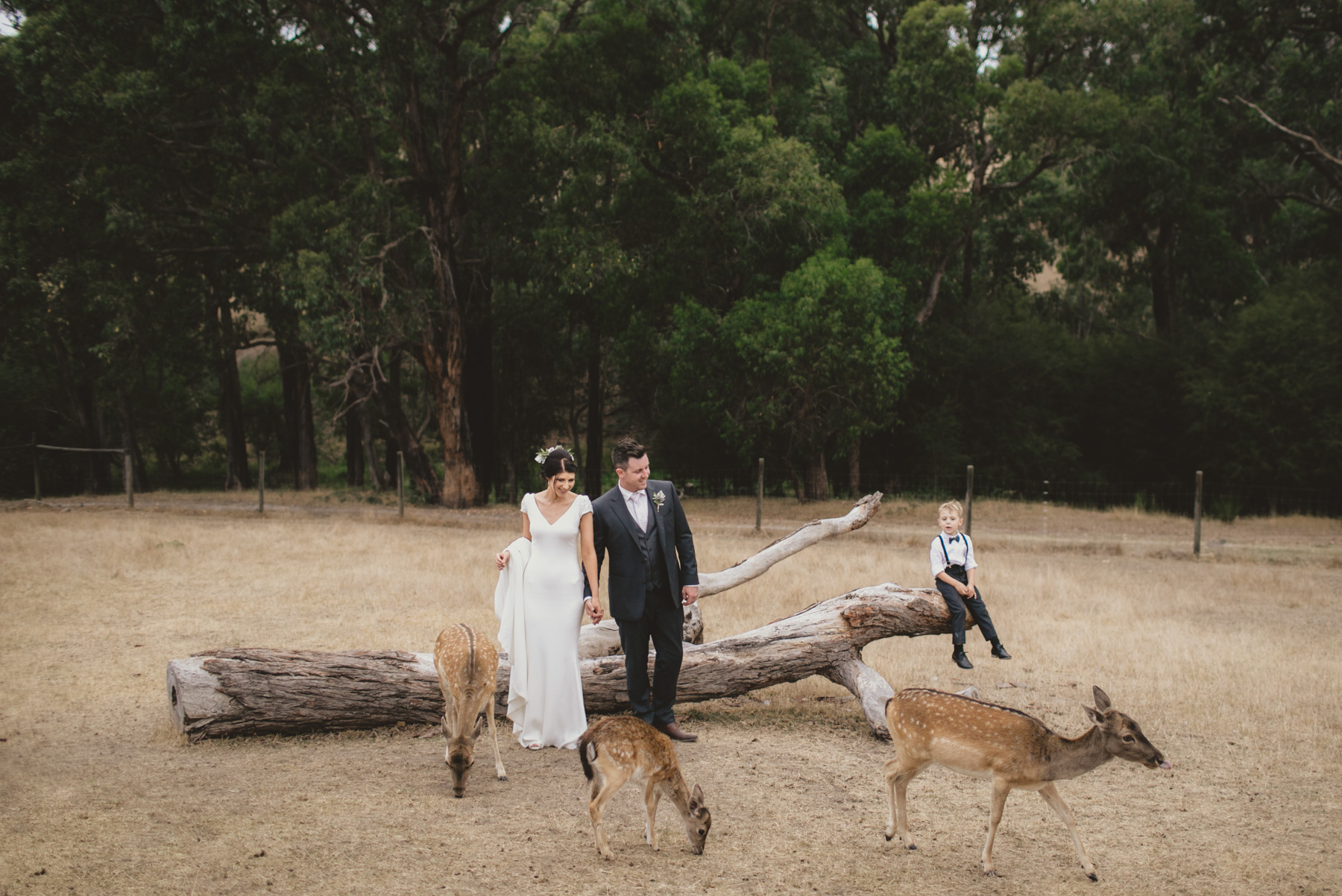 Gum Gully Farm — DUUET | Melbourne Wedding Photography & Wedding Video